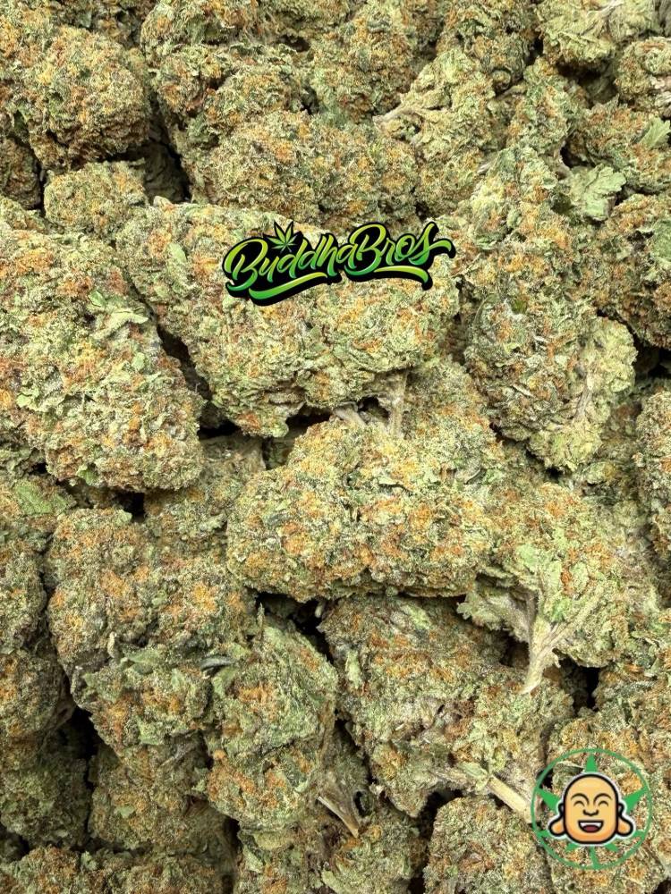 Gelato Pop Hybrid Strain Buy Online BuddhaBrosLA