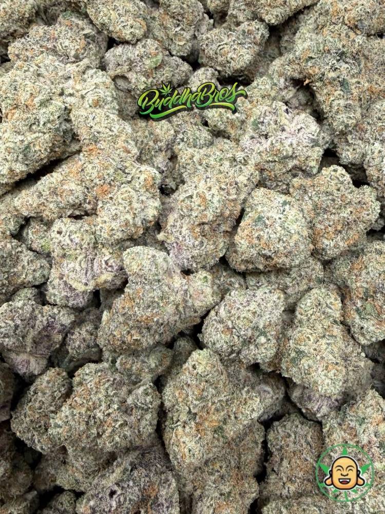 Zurkle Hybrid Strain Buy Online BuddhaBrosLA