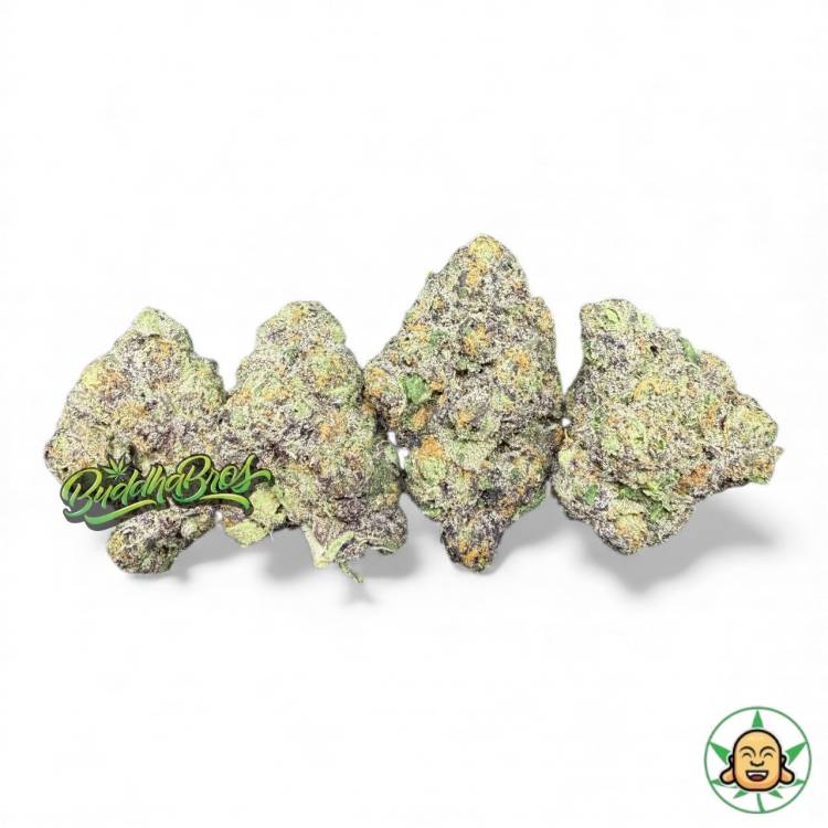 Gelato x Gumbo 37 Hybrid Strain Buy Online BuddhaBrosLA