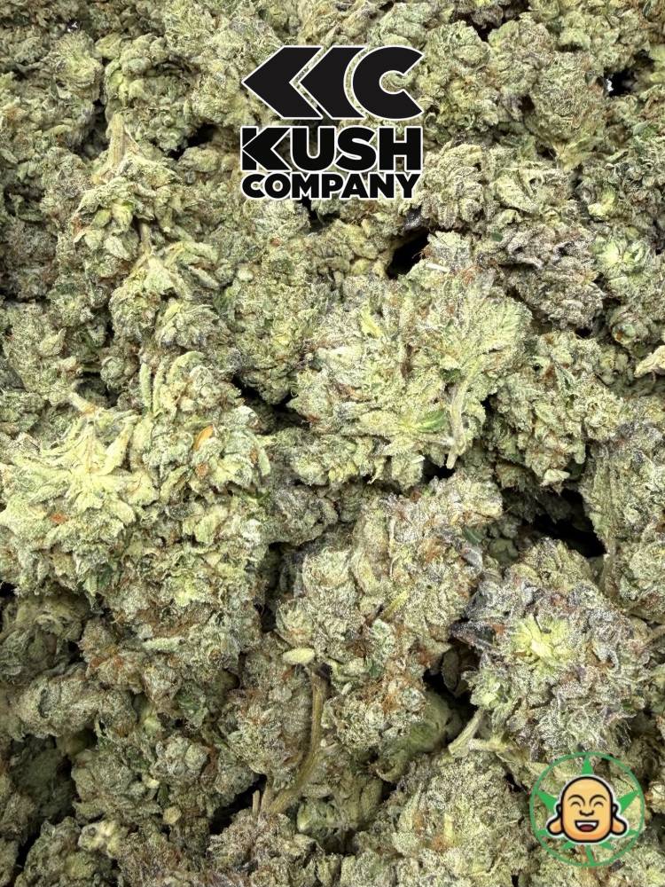 Iceberg Slim Hybrid Strain Buy Online BuddhaBrosLA