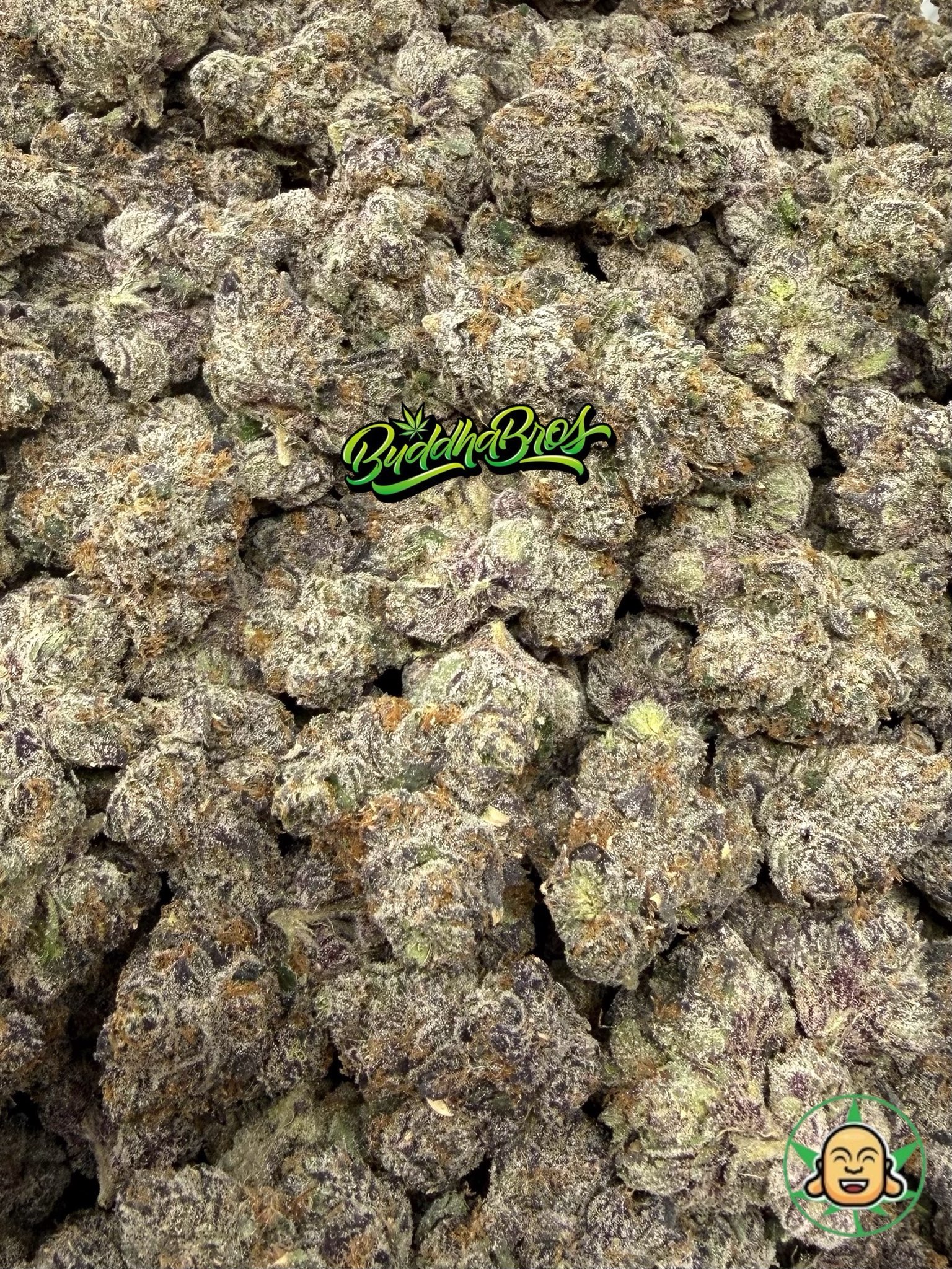 Lunar Drip Hybrid Buy Online BuddhaBrosLA