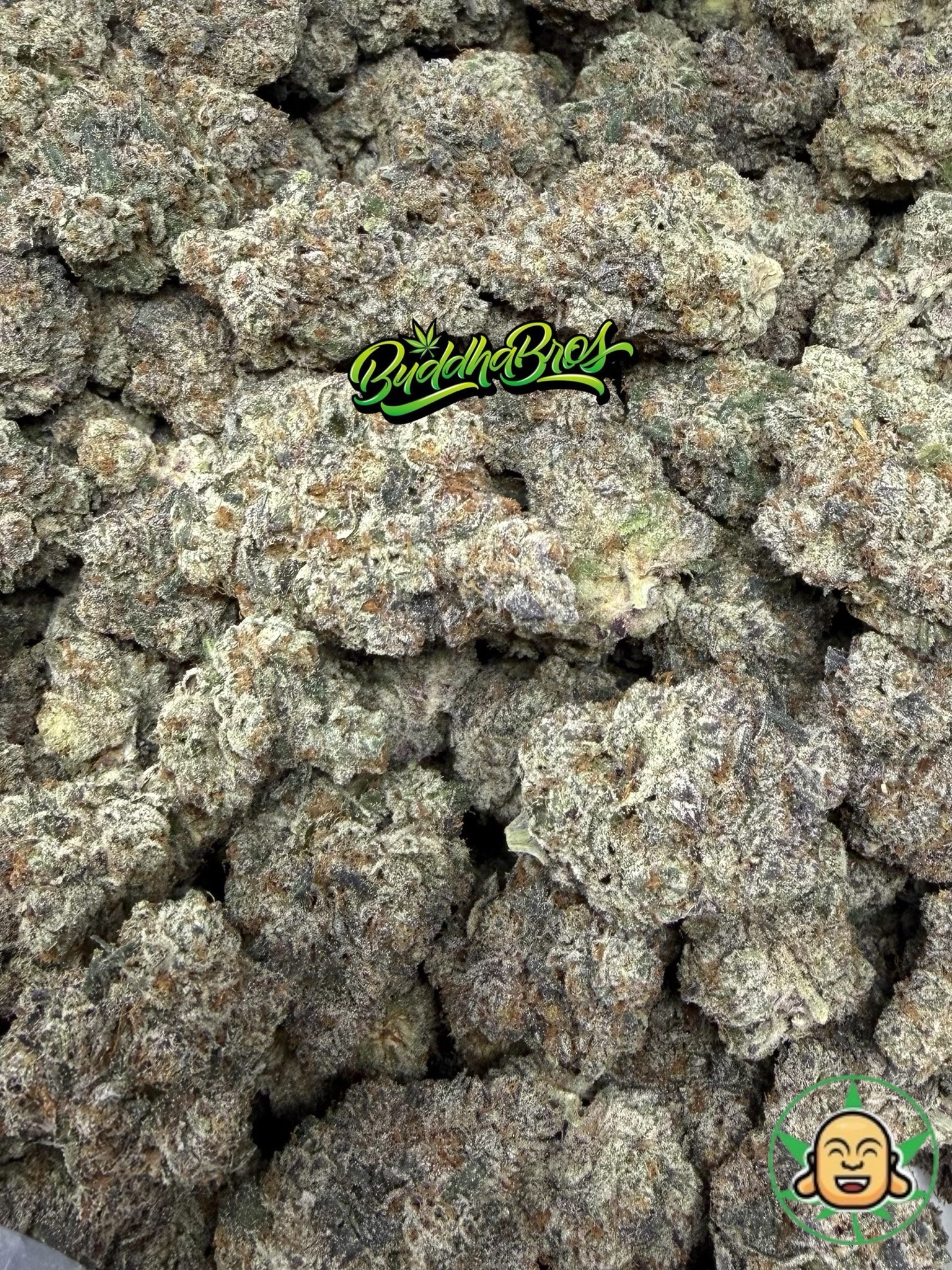 Paris Flame Hybrid Buy Online BuddhaBrosLA